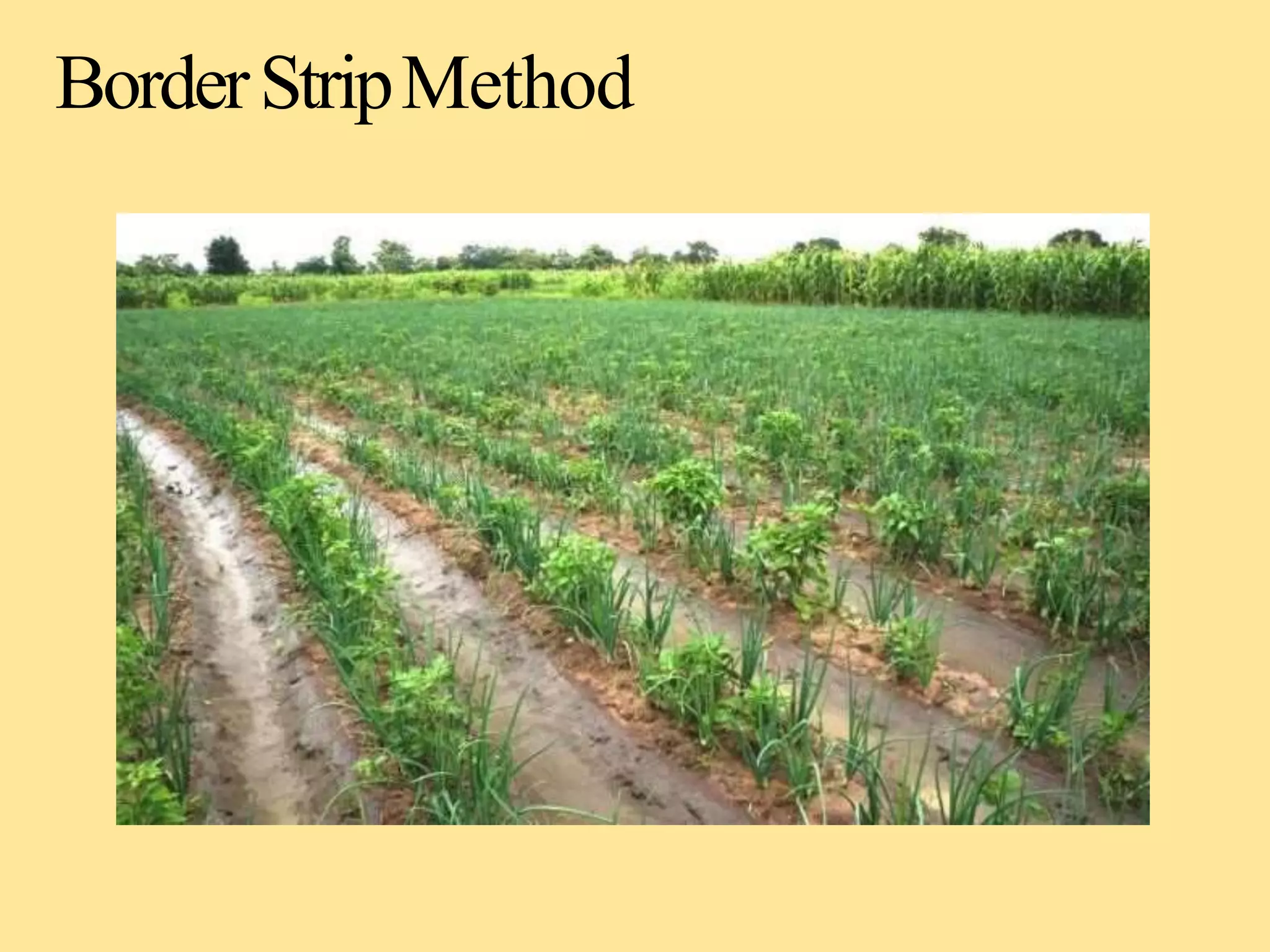Method of irrigation | PDF