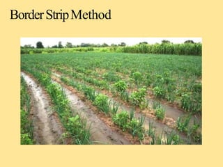 Method of irrigation | PDF