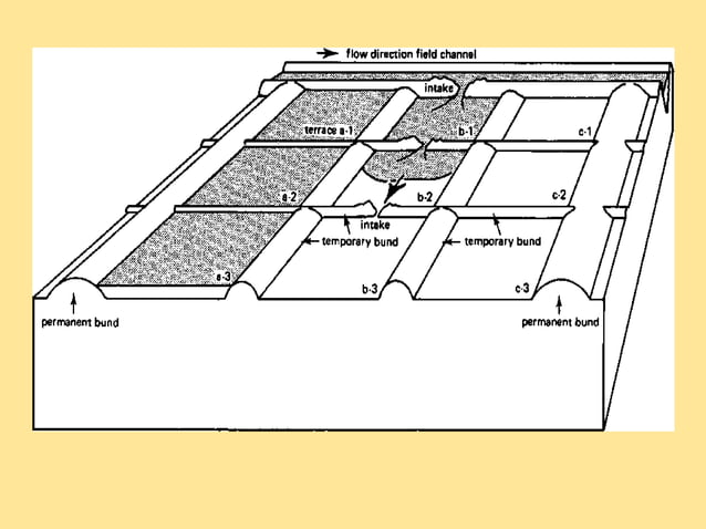 Method of irrigation | PDF | Agriculture | Industries