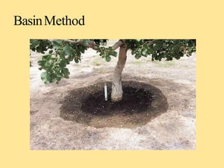 Method of irrigation | PDF