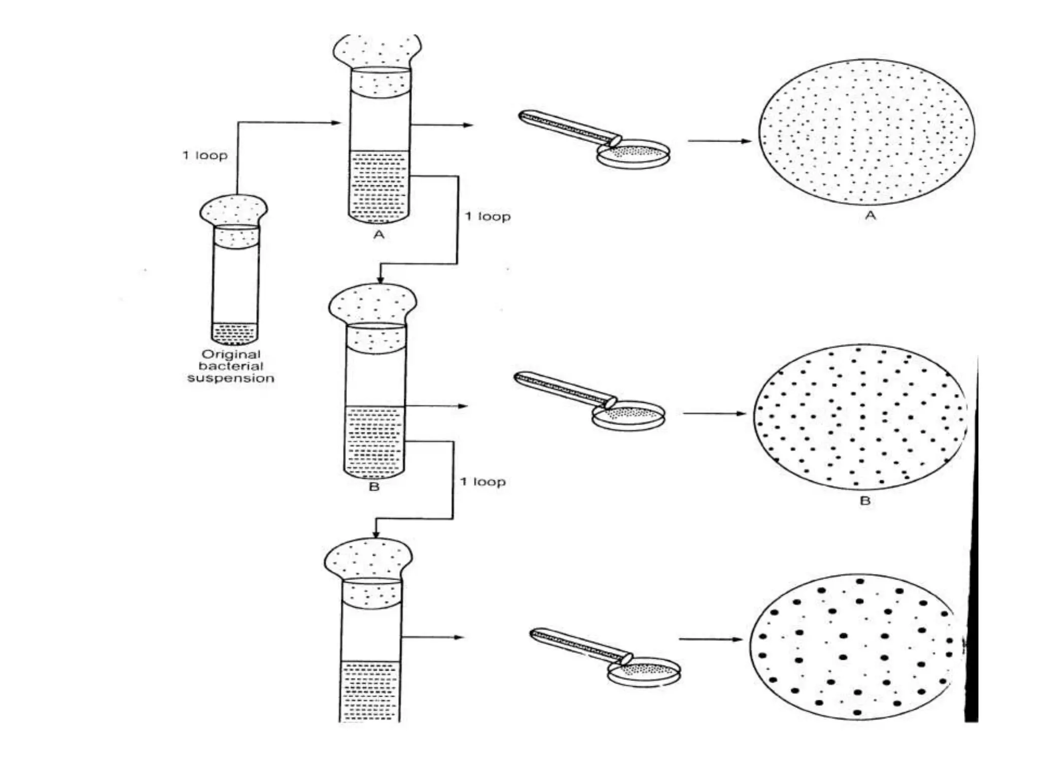 Method of isolation of pure culture | PPTX