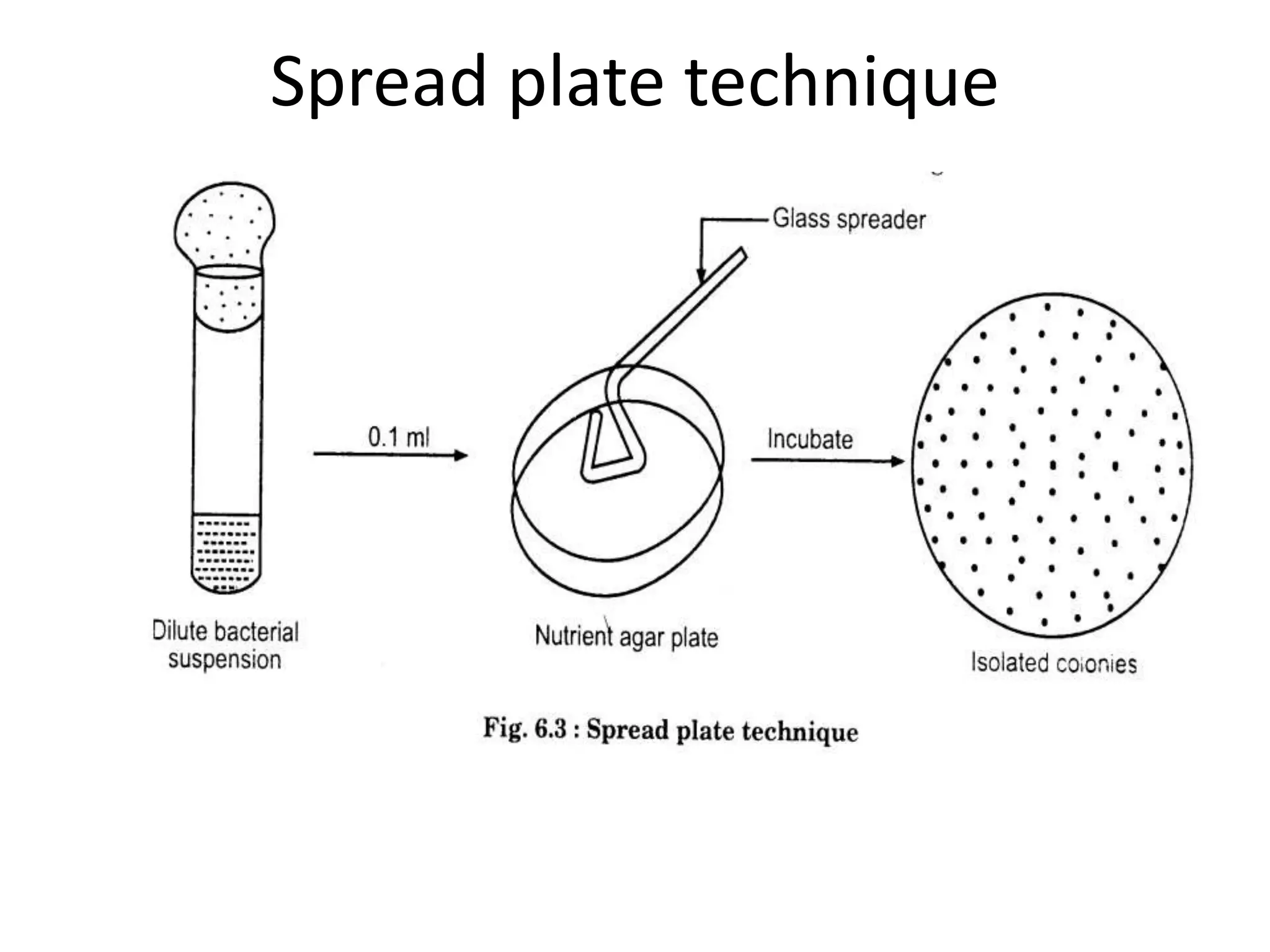 Method of isolation of pure culture | PPTX