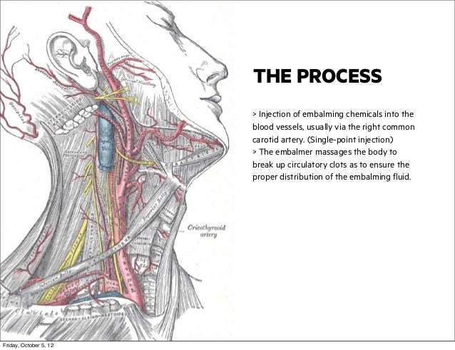 Methodological module