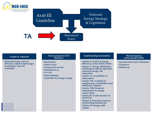 Methodology for the_national_implementaion_of_the_ee_guideline neeap
