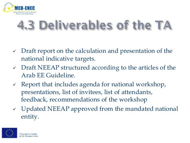 Methodology for the_national_implementaion_of_the_ee_guideline neeap