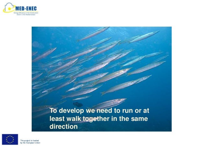 Methodology for the_national_implementaion_of_the_ee_guideline neeap