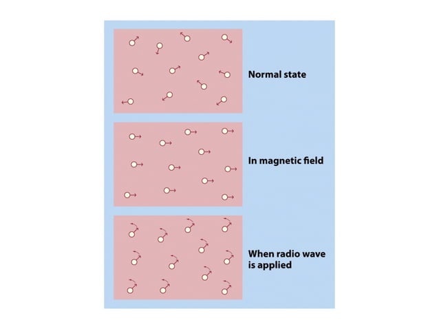 Introduction to Methods in Neuroscience | PPT