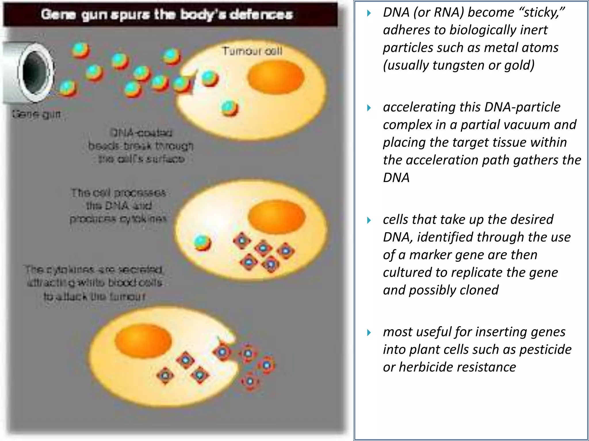 Direct Gene Transfer Methods | PPTX