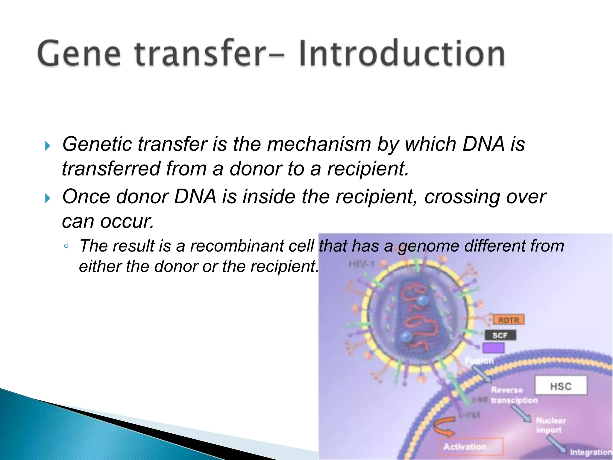 Direct Gene Transfer Methods | PPTX