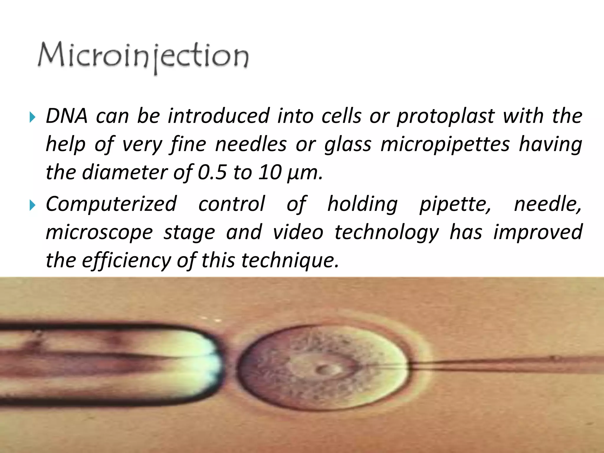 Direct Gene Transfer Methods | PPTX