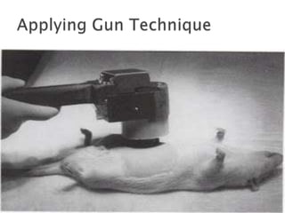 Direct Gene Transfer Methods | PPTX