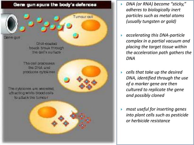 Direct Gene Transfer Methods | PPTX