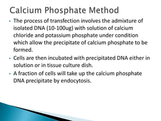 Direct Gene Transfer Methods | PPTX