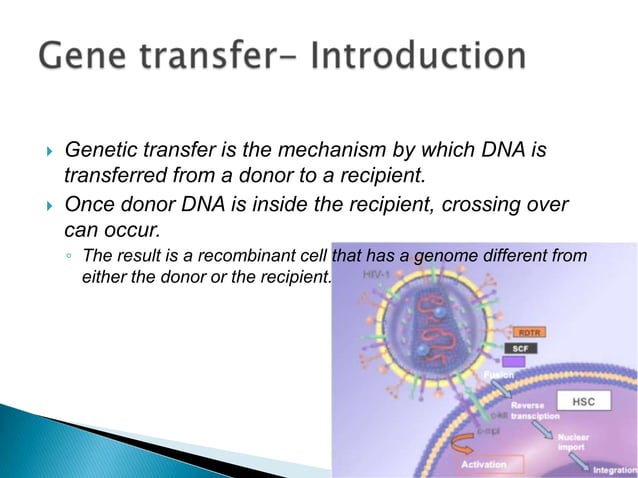 Direct Gene Transfer Methods | PPTX