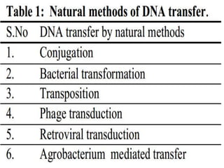 Direct Gene Transfer Methods | PPTX
