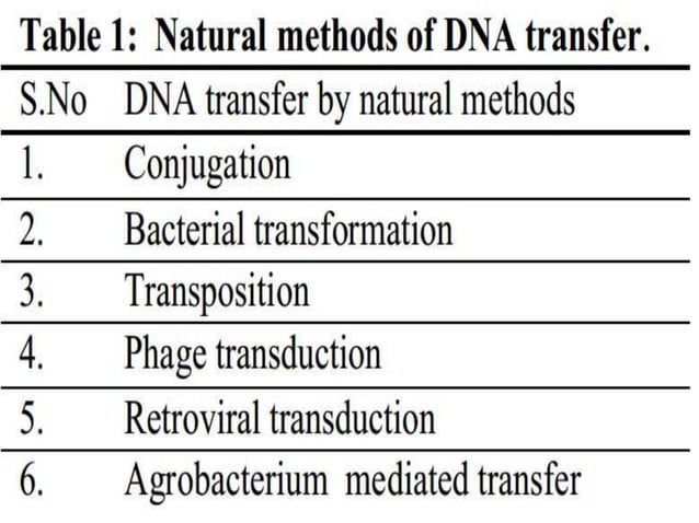 Direct Gene Transfer Methods | PPTX