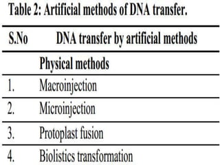Direct Gene Transfer Methods | PPTX
