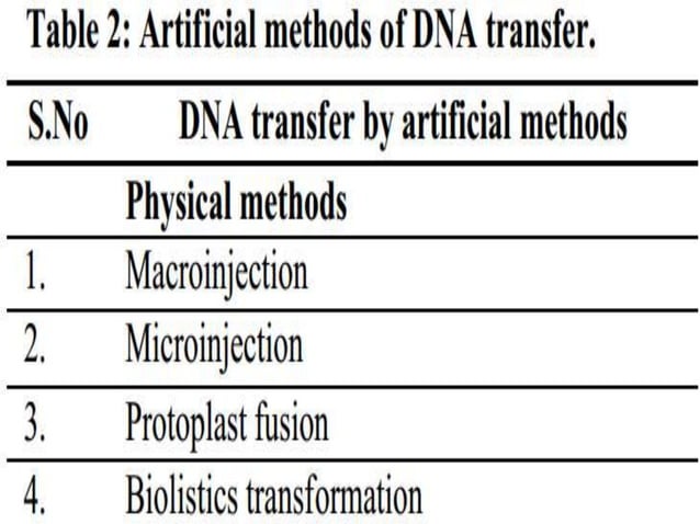 Direct Gene Transfer Methods | PPTX