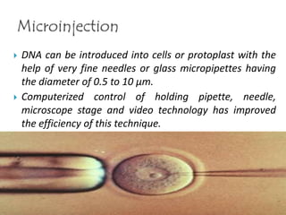 Direct Gene Transfer Methods | PPTX