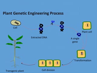 Methods of gene transfer | PPT