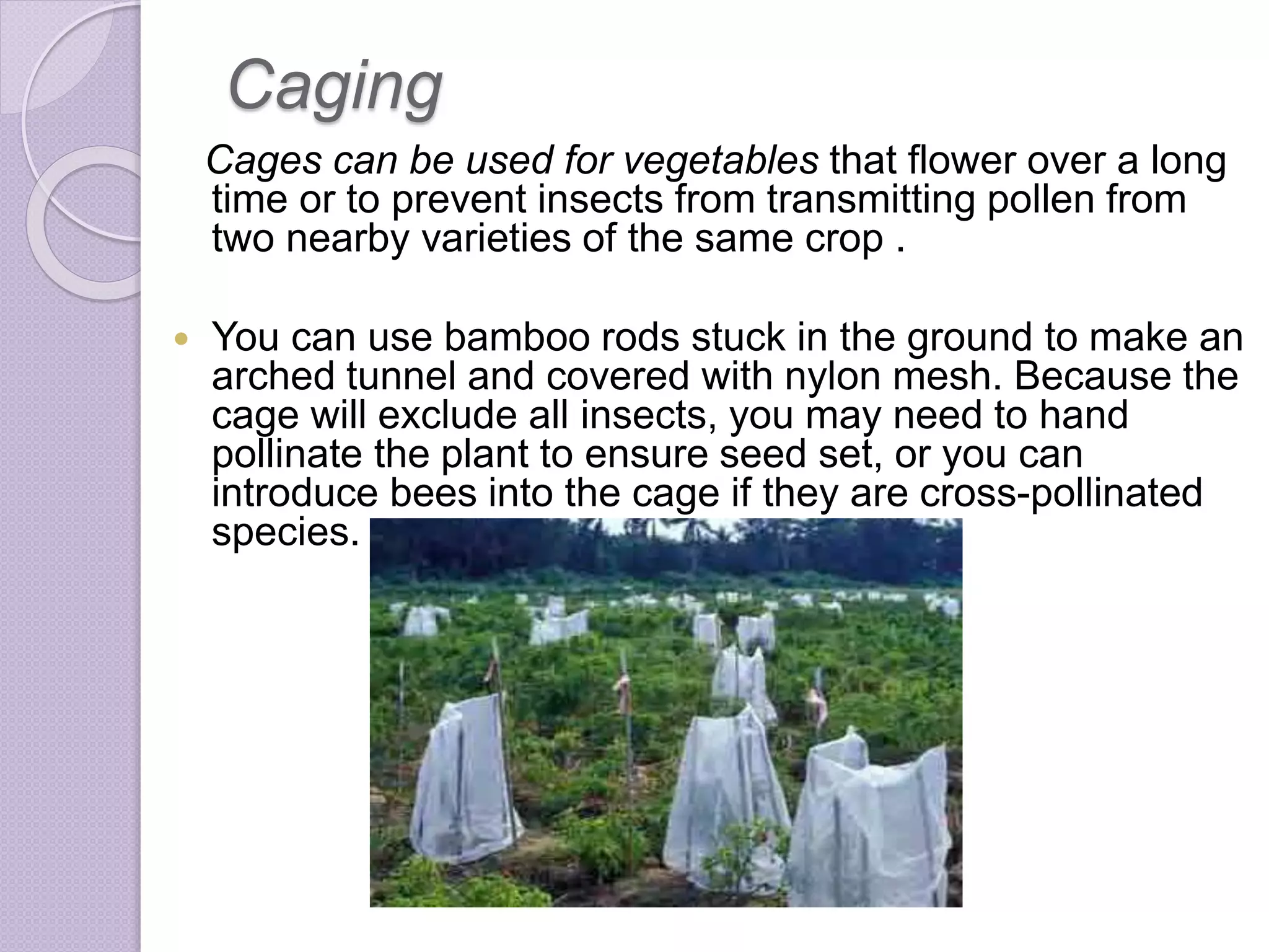 Methods of-seed-harvesting | PPTX