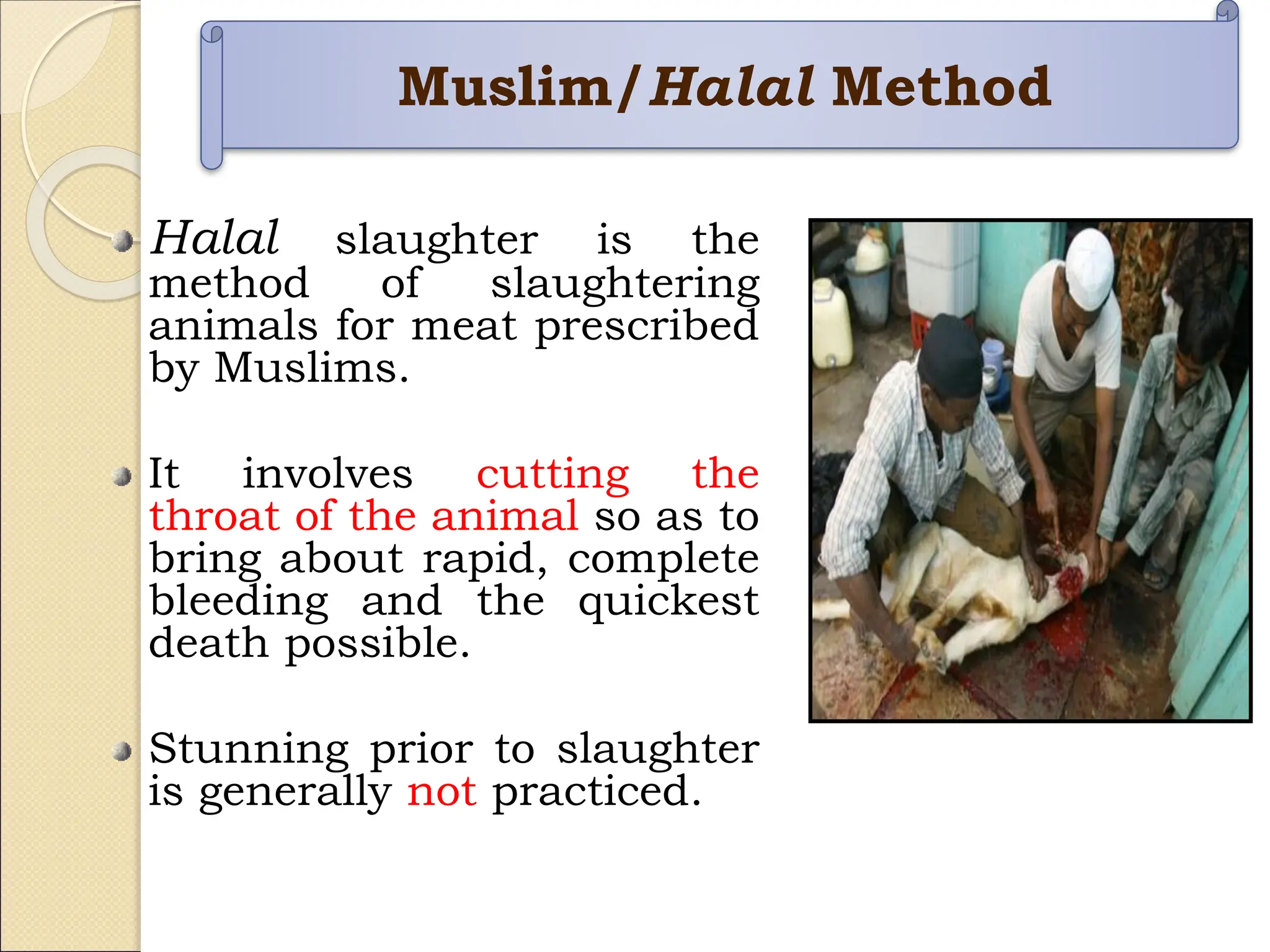 Method of Slaughter. (Humane Slaughter,Jewish,hindu,halal) | PDF