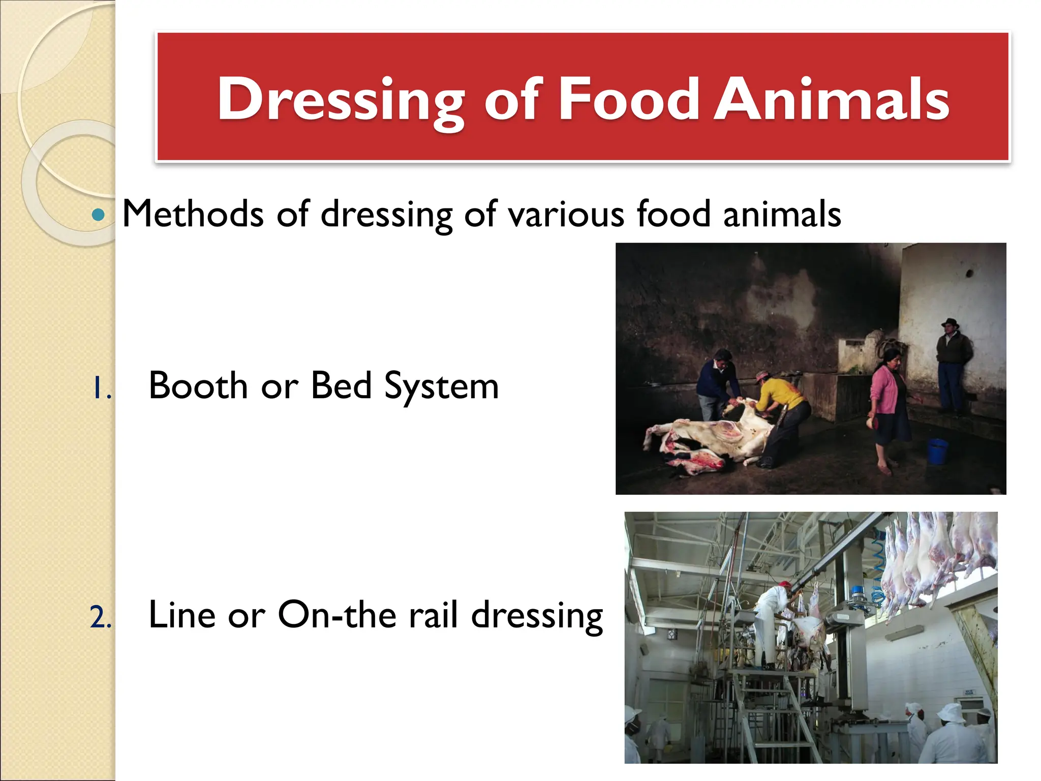 Method of Slaughter. (Humane Slaughter,Jewish,hindu,halal) | PDF