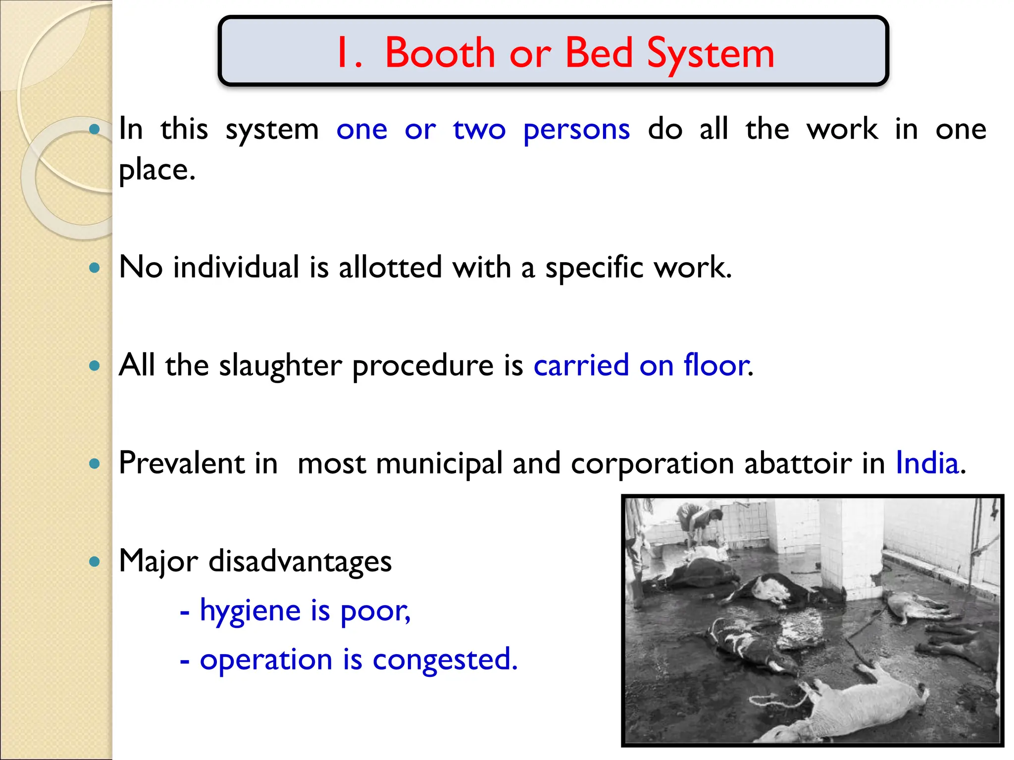 Method of Slaughter. (Humane Slaughter,Jewish,hindu,halal) | PDF