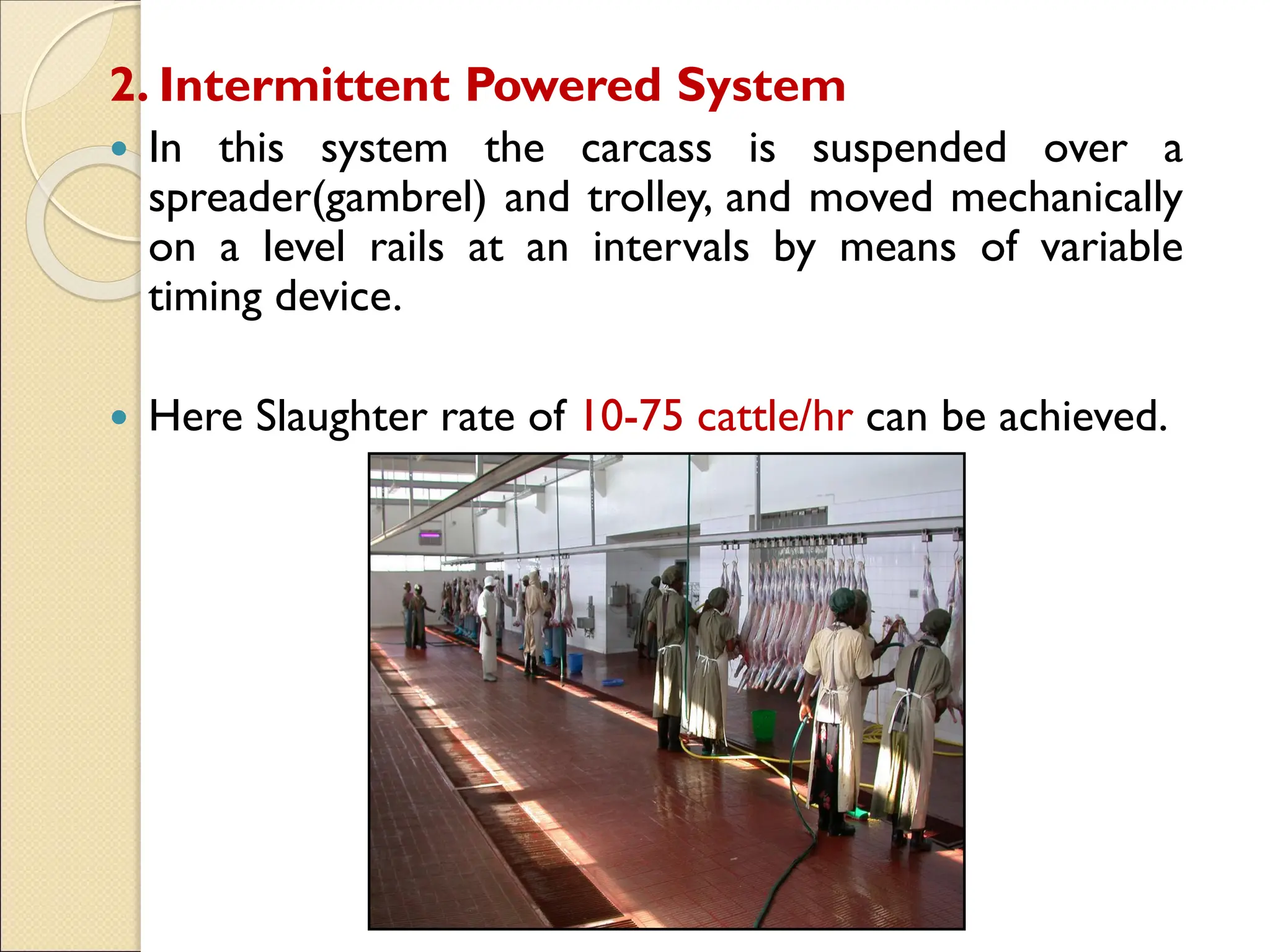 Method of Slaughter. (Humane Slaughter,Jewish,hindu,halal) | PDF