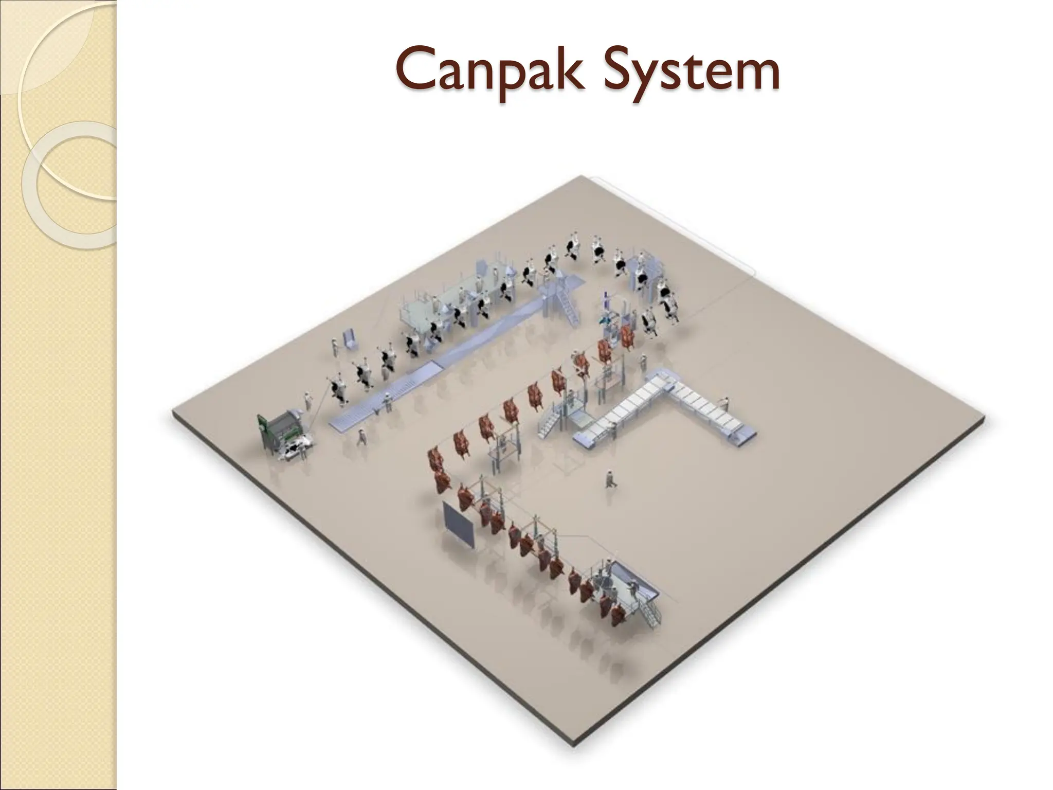 Method of Slaughter. (Humane Slaughter,Jewish,hindu,halal) | PDF