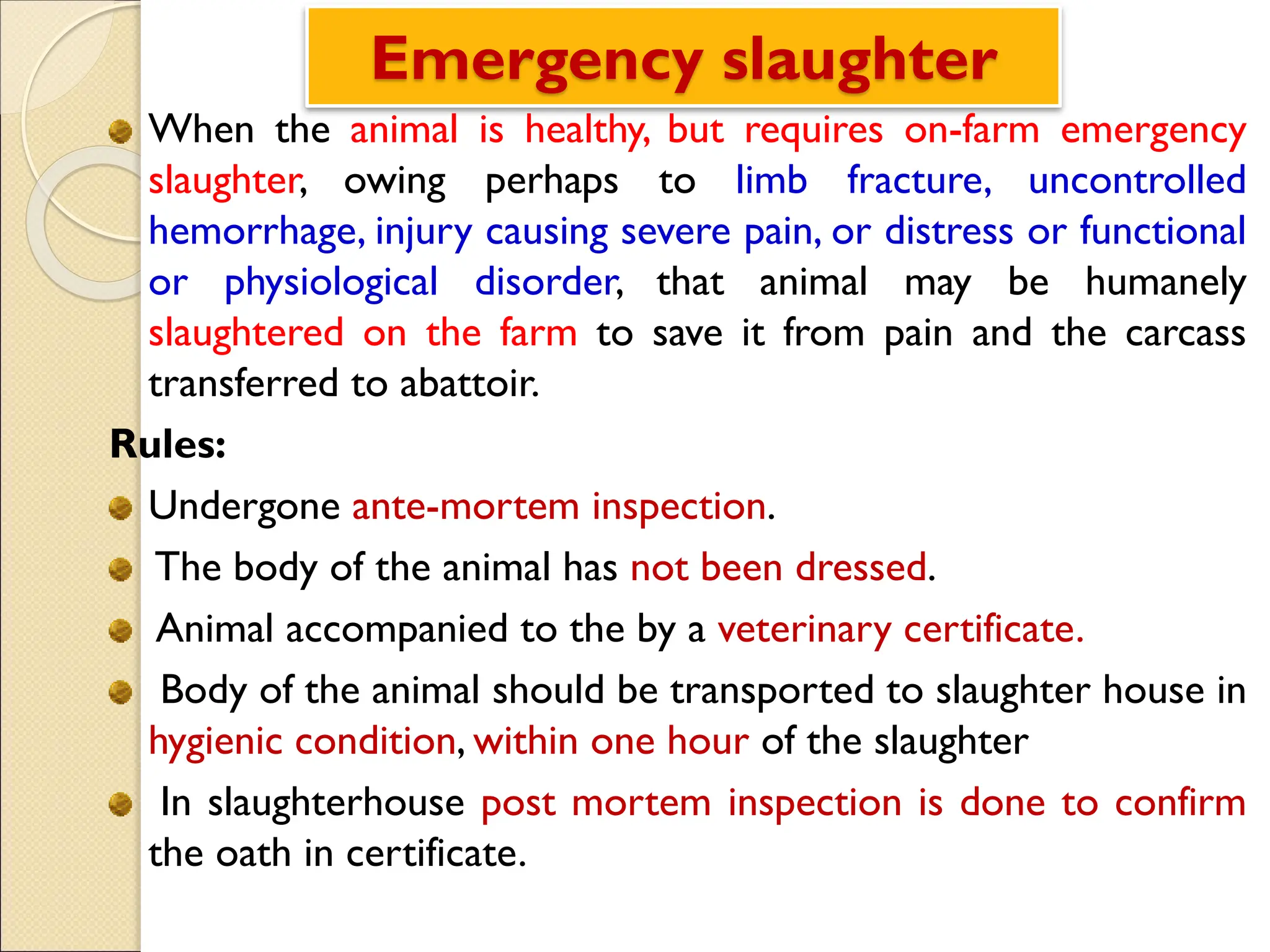 Method of Slaughter. (Humane Slaughter,Jewish,hindu,halal) | PDF