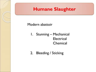 Method of Slaughter. (Humane Slaughter,Jewish,hindu,halal) | PDF