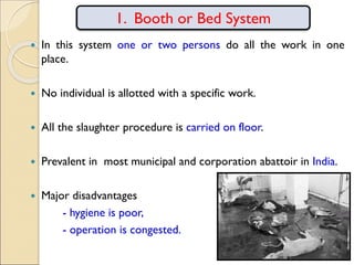 Method of Slaughter. (Humane Slaughter,Jewish,hindu,halal) | PDF