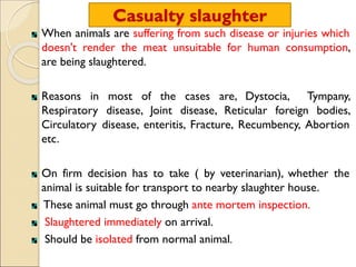 Method of Slaughter. (Humane Slaughter,Jewish,hindu,halal) | PDF