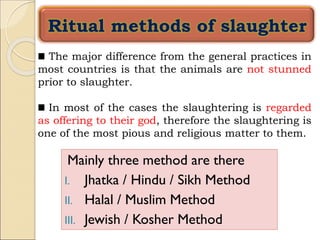 Method of Slaughter. (Humane Slaughter,Jewish,hindu,halal) | PDF