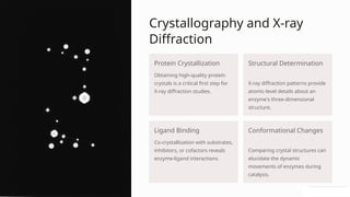 Methods-to-Study-Enzymes_enzymekinerics. | PPT