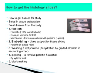Methods to-study-histology | PPT