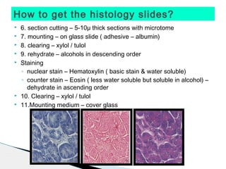 Methods to-study-histology | PPT