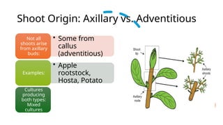 Methods 1 Propagation of Plants from Axillary Buds or Shoots.pptx