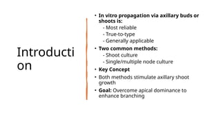 Methods 1 Propagation of Plants from Axillary Buds or Shoots.pptx