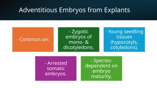 Methods 2 Propagation by Direct Organogenesis.pptx