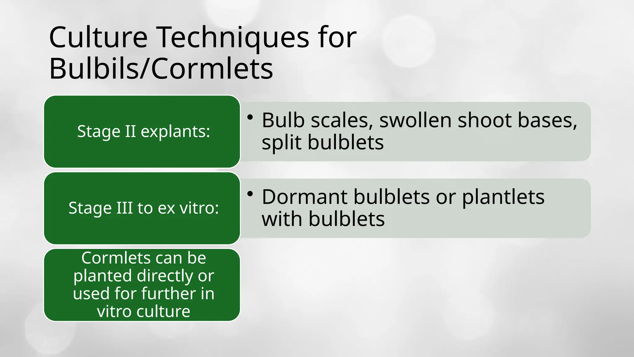 Methods 4 Formation of Storage organs and micrografting.pptx