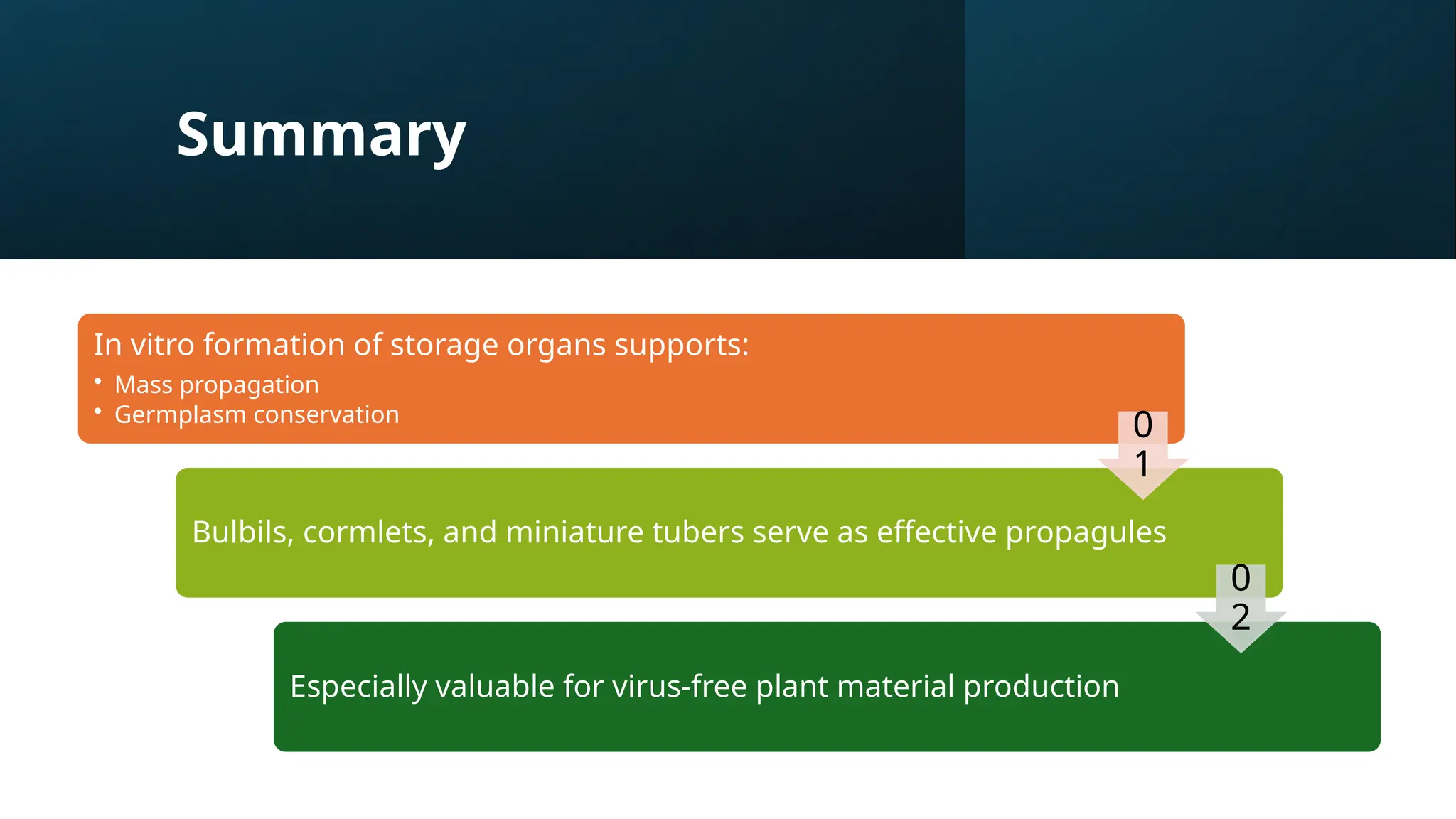 Methods 4 Formation of Storage organs and micrografting.pptx