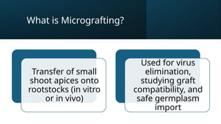 Methods 4 Formation of Storage organs and micrografting.pptx