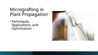 Methods 4 Formation of Storage organs and micrografting.pptx