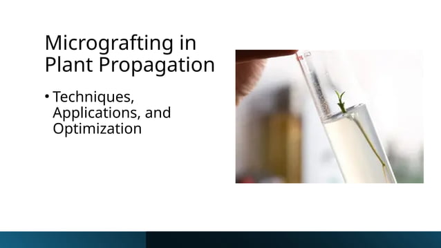 Methods 4 Formation of Storage organs and micrografting.pptx