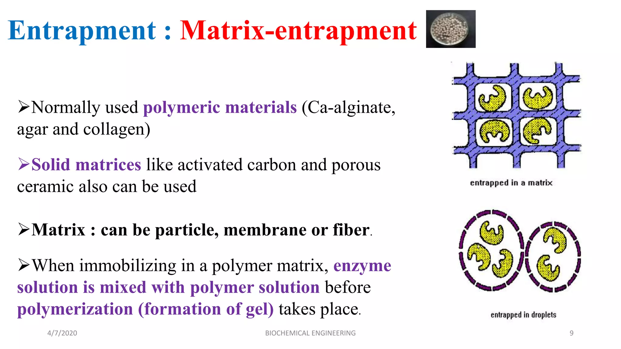 Methods of enzyme immobilization and its effect on mass transfer | PPTX