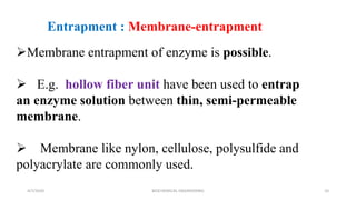 Methods of enzyme immobilization and its effect on mass transfer | PPTX