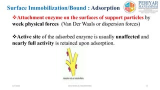 Methods of enzyme immobilization and its effect on mass transfer | PPTX