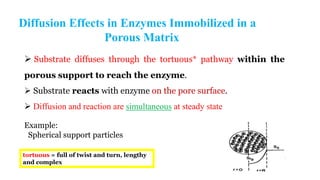 Methods of enzyme immobilization and its effect on mass transfer | PPTX